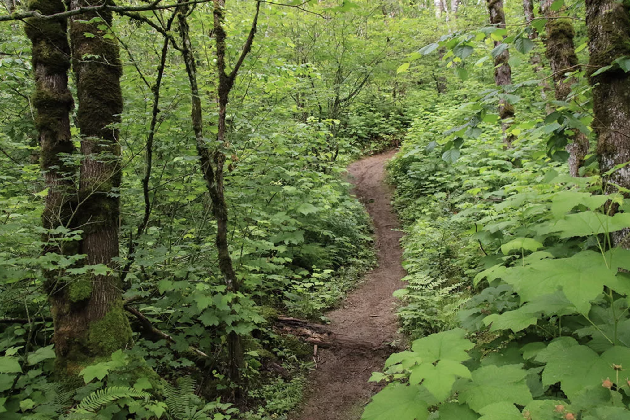 Stepping off the Path – Odd Sense of Zero